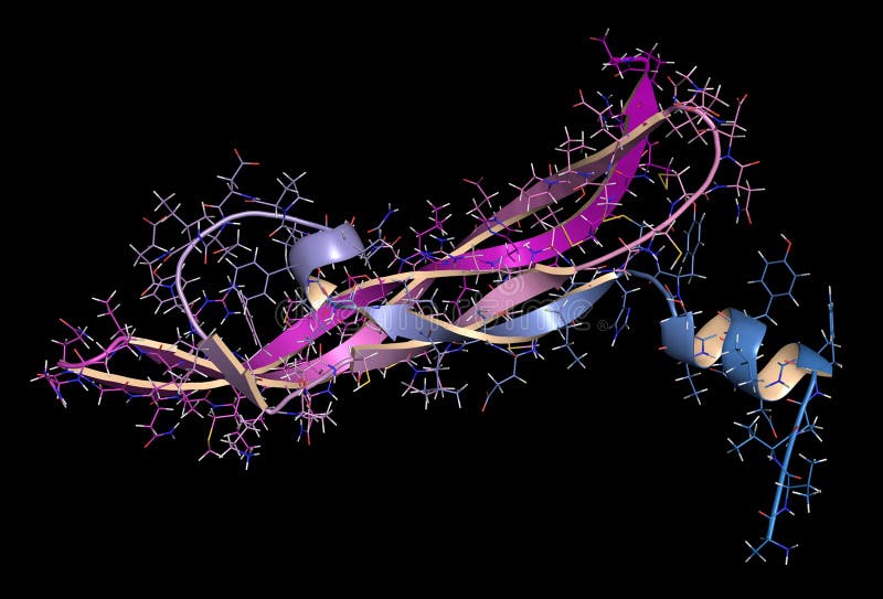 Vascular Endothelial Growth Factor a VEGF a Protein Molecule. Atoms are ...