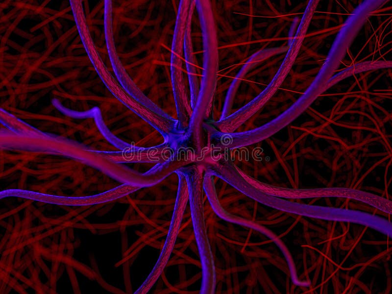 Vascular Plant Fine Roots Looking Like a Neural Network. 3D Stock ...