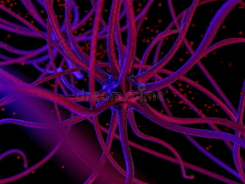 Vascular Network Stock Illustrations – 236 Vascular Network Stock ...