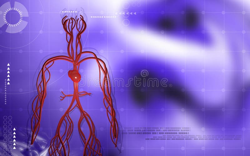Vascular system stock illustration. Illustration of computer - 45585451