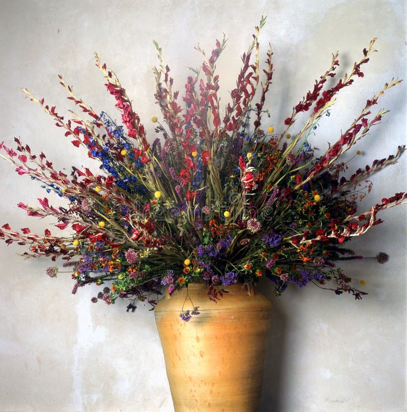 A vase of dried flowers stock photo. Image of dried, flowers - 54960410