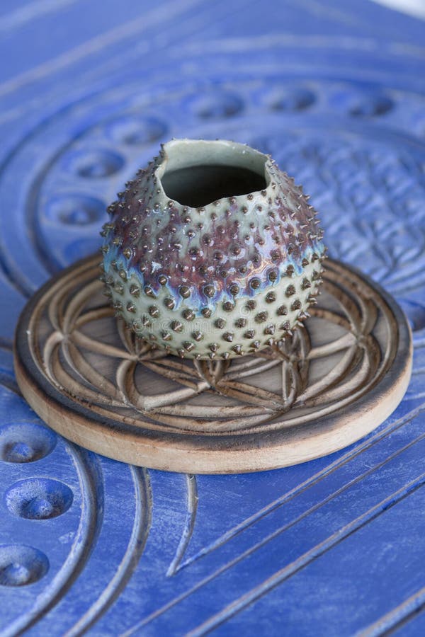 Vase life at sea stock photo. Image of marine, tropical - 51147658