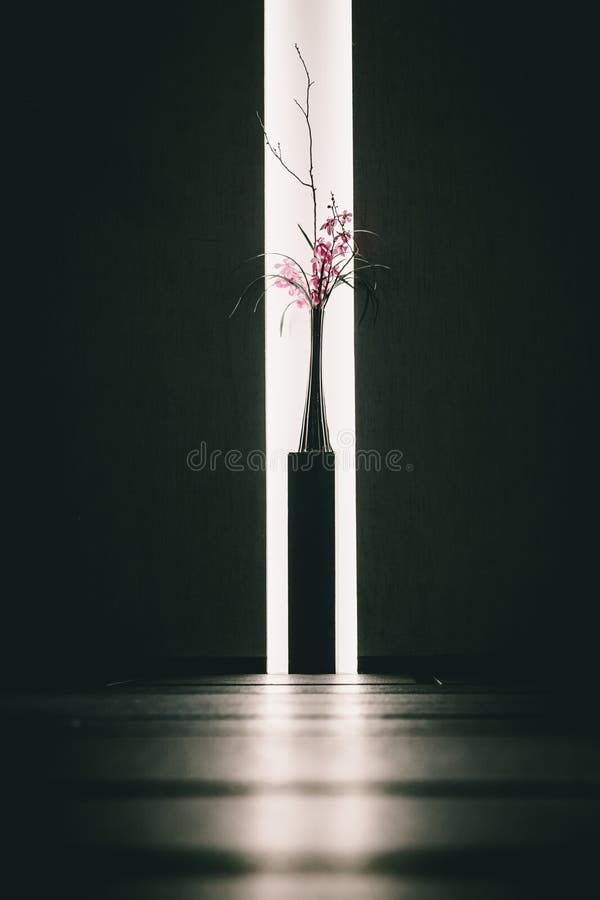 Vase in light and shadow stock photo. Image of extremely - 171235738