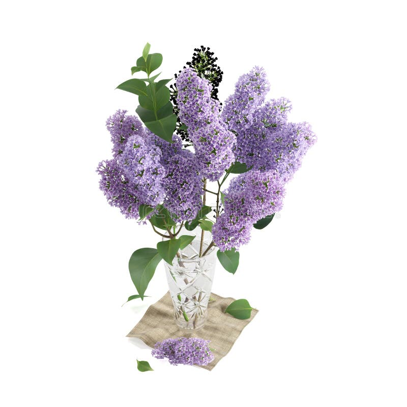 Vase with Lilacs Isolated on White Stock Photo - Image of flowers ...
