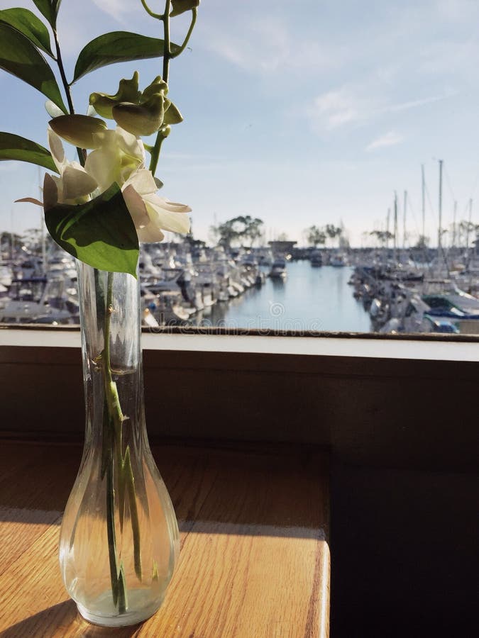 Vase in a Restaurant. stock photo. Image of table, view - 48882230