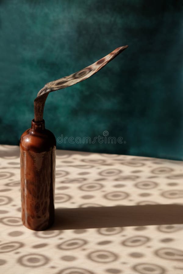 Vase and shadow stock image. Image of line, angles, round - 51681815