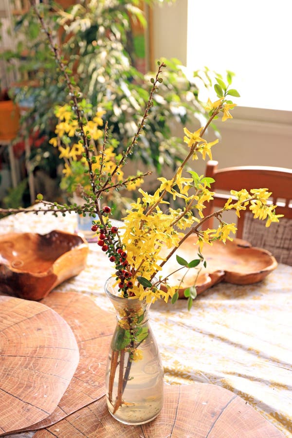 Vase with Spring Flowers Cherry Blossoms and Forsythia Stock Photo ...