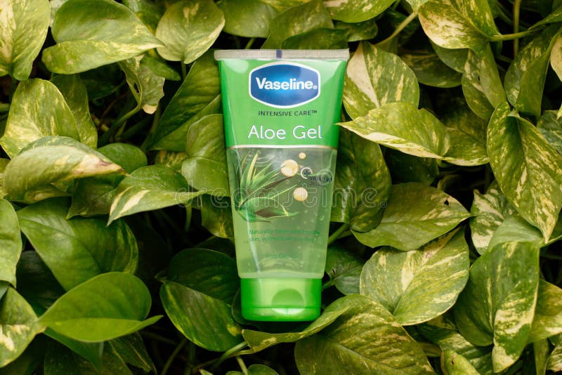 Vaseline Aloe Vera Gel Kept on Leaves Stock Image - Image of sanitizer ...