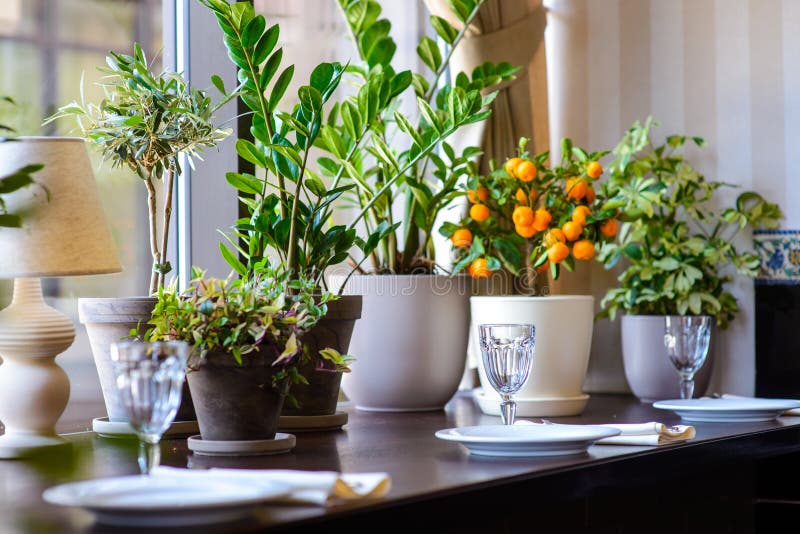 Vases with Flowers in Restaurant Served Table Stock Photo - Image of ...