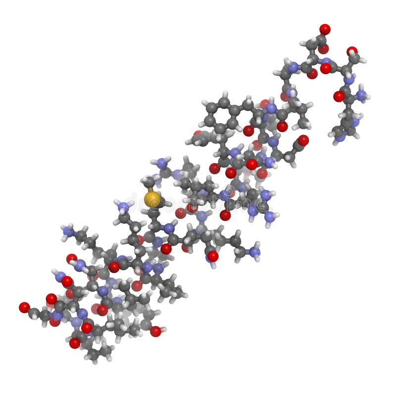 Vasoactive Intestinal Peptide, Chemical Structure Stock Illustration ...