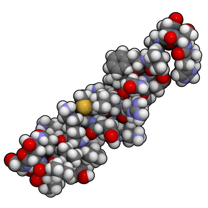 Vasoactive Intestinal Peptide, Chemical Structure Stock Photo ...