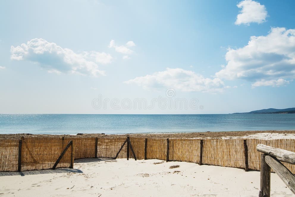 Vassstaket vid havet arkivfoto. Bild av natur, grön, panorama - 71120794