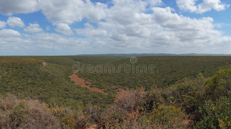 Panorama Landscape of Australian Outback Road Stock Photo - Image of ...