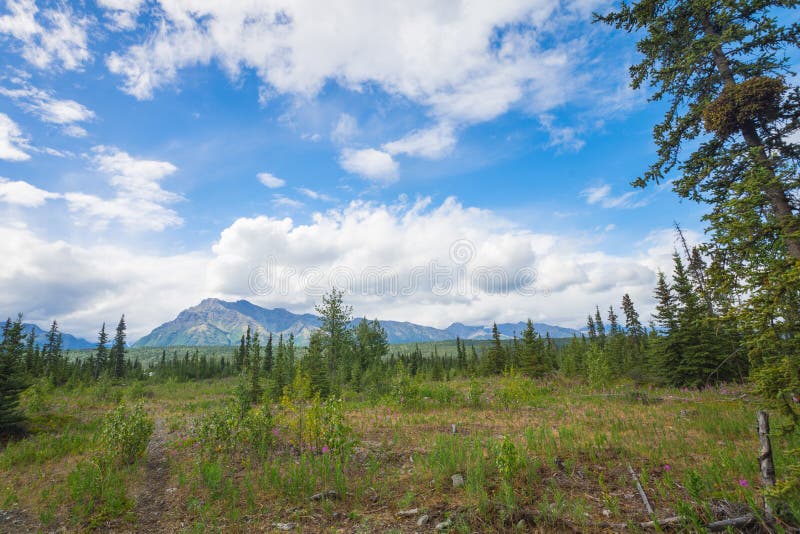 Vast Arctic Wilderness stock photo. Image of hike, alaskan - 66639224