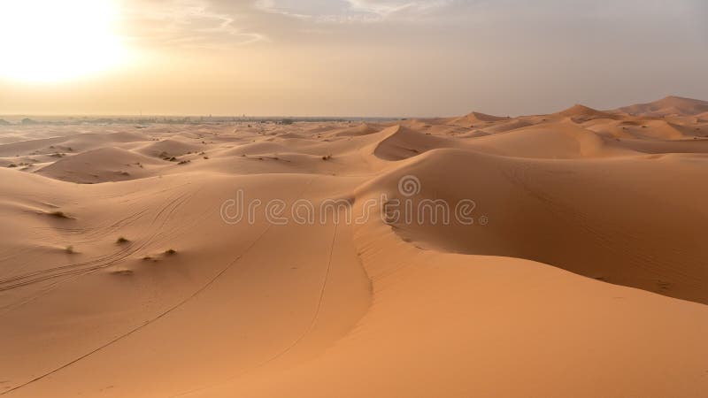 Vast Desert Landscape with Rolling Sand Dunes at Sunset Stock Image - Image of peaceful, scenic ...