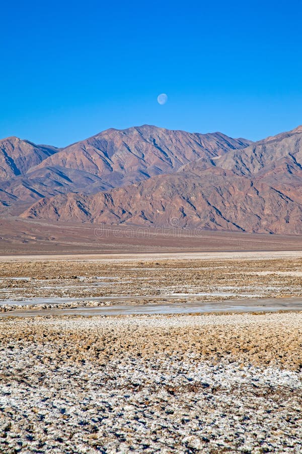 Vast Desert Landscape Under a Bright Blue Sky with Distant Mountains ...