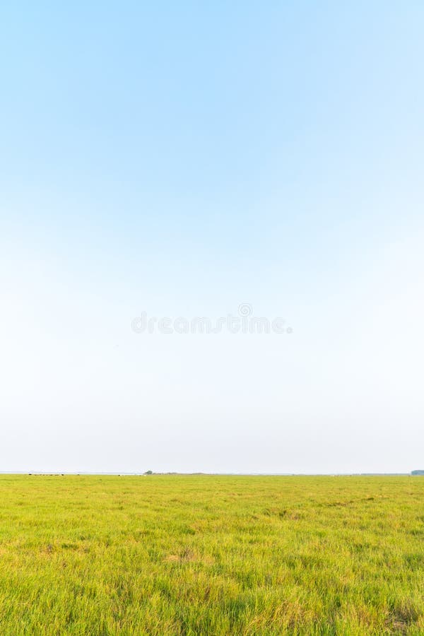 A Vast Expanse of Grassland Under the Sky Stock Image - Image of ...