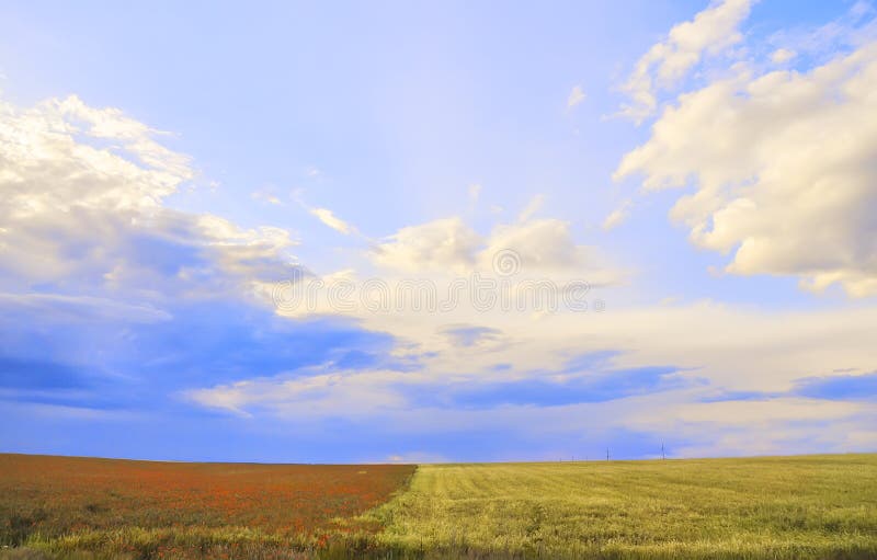 The Vast Expanses of Fields. Stock Photo - Image of farm, flowers ...