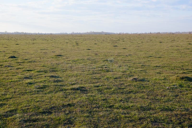Vast Expanses of Steppe. the Sky Over the Grassy Field Stock Image ...