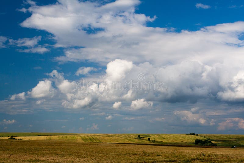 Vast field of nature stock photo. Image of clouds, light - 24115064