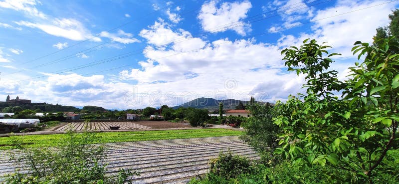 Vast Fields and Houses in the Rural Area Stock Image - Image of ...