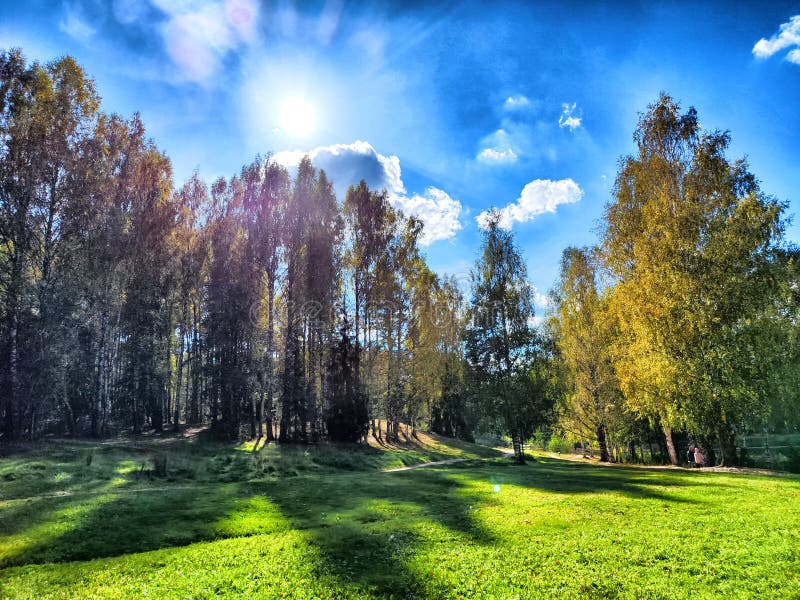Vast Forest Landscape with River Flowing through Greenery Under a ...