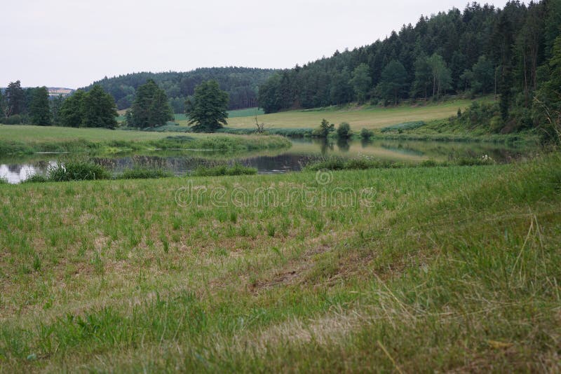 Vast Green Area Around the Lake during the Daytime Stock Image - Image ...
