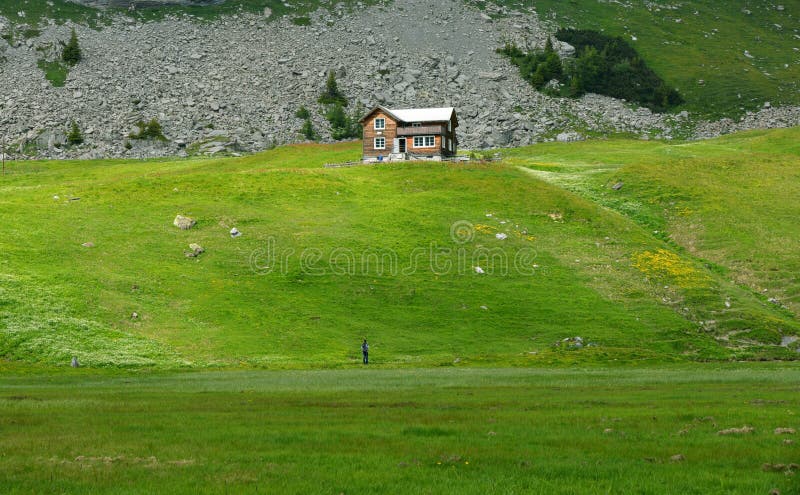 Vast Green Fields in Switzerland Stock Photo - Image of blue, fields ...