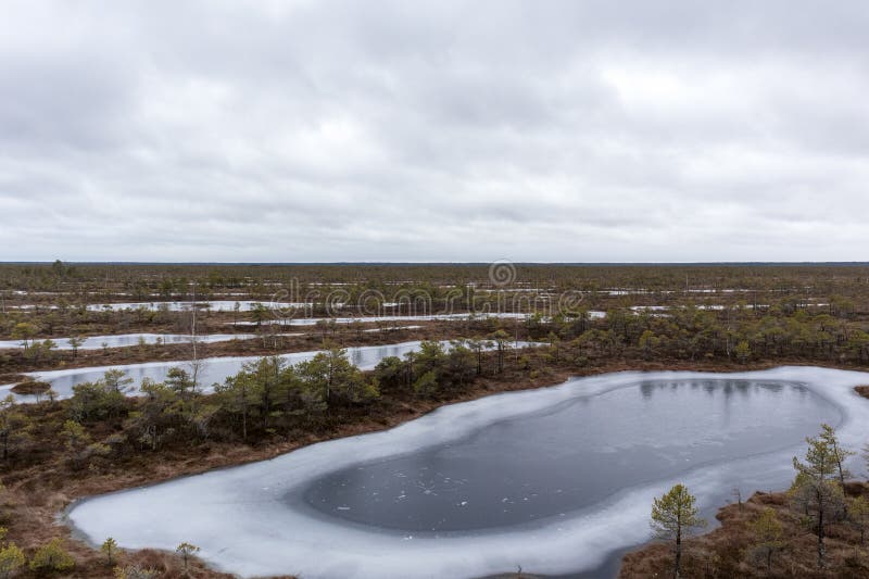 .a Vast Marsh Landscape with a Small Area Covered with Water and ...