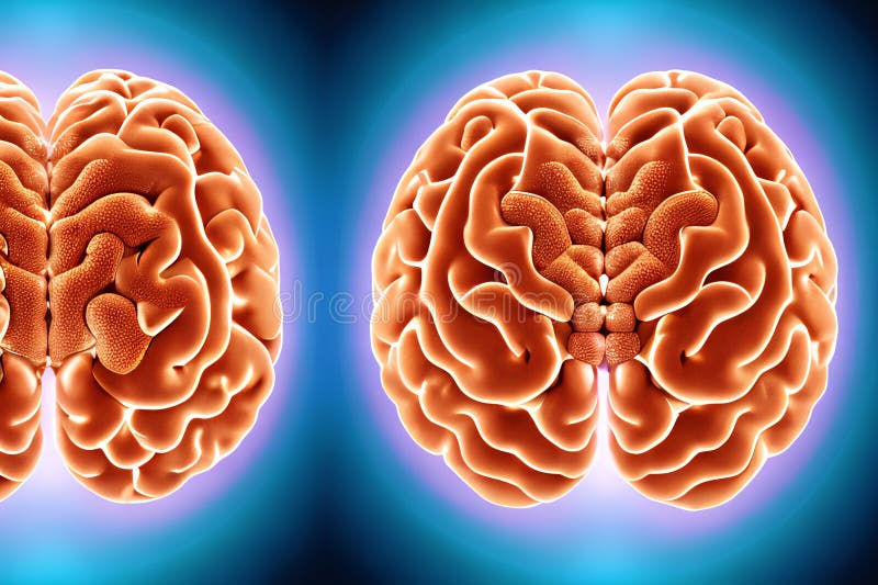 A Vast Neural Network of Cells and Pathways - Concept Stock ...