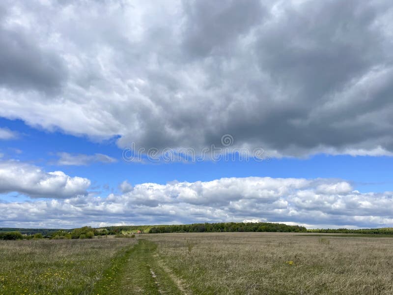 Vast Open Field Under Blue Sky with Clouds, Tranquility and Depth Stock ...