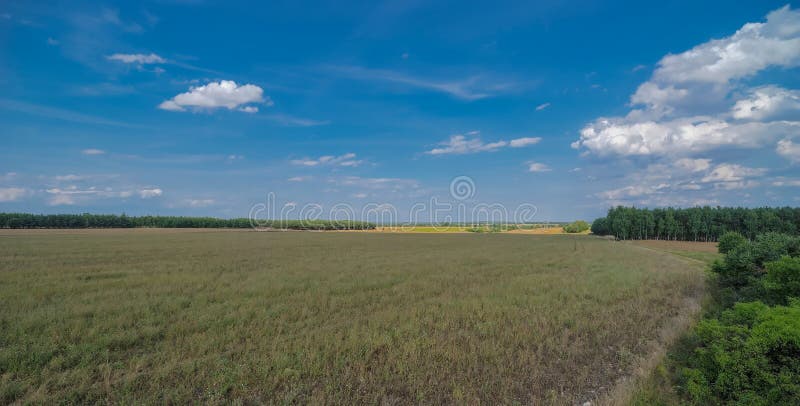 Mid-forest Clearing, Meadow, Wasteland, Fallow Land Under a Blue Sky ...