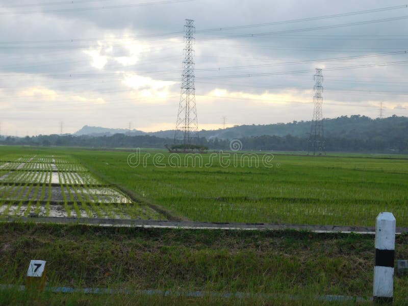 Vast Rice Fields on the Slopes of Beautiful Mountains Stock Photo ...