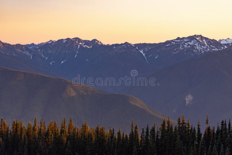 Veiw Overlooking a Mountain Range Covered in a Pine Forest Stock Photo ...