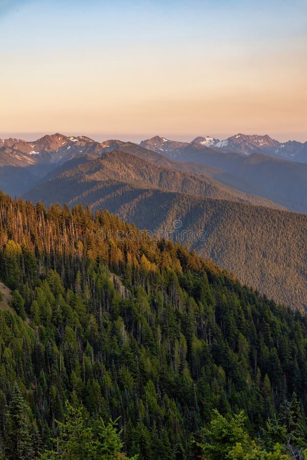 Veiw Overlooking a Mountain Range Covered in a Pine Forest Stock Image ...