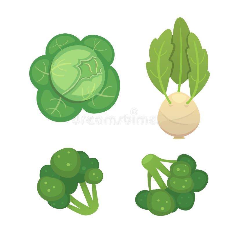 Vastgestelde Vectorkool En Sla Plantaardige Groene Broccoli, Koolraap ...