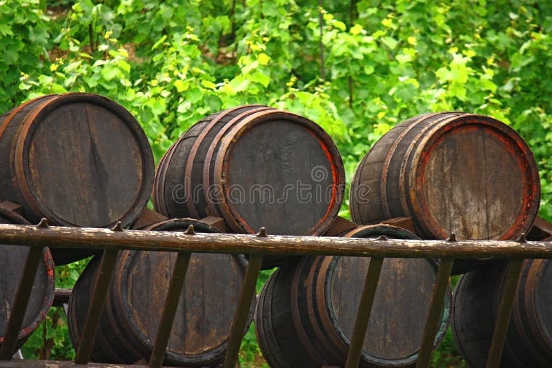 Wine Vat stock photo. Image of wine, vintage, rustic, grapes - 7591872