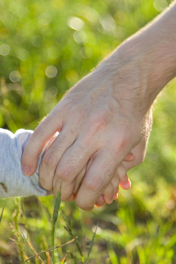 Vater Und Sohn, Die Hand in Hand Halten Stockfoto - Bild von wiese ...