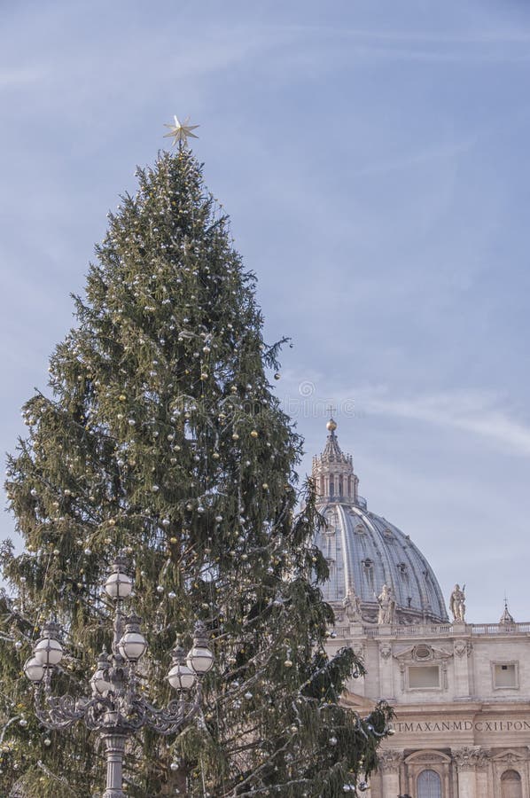 Vatican Christmas Tree stock image. Image of italy, italian - 47002675