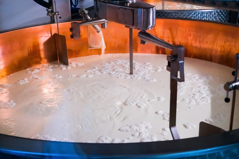 Vats with Milk To Make Cheese and by-products Such As Whey Stock Image ...