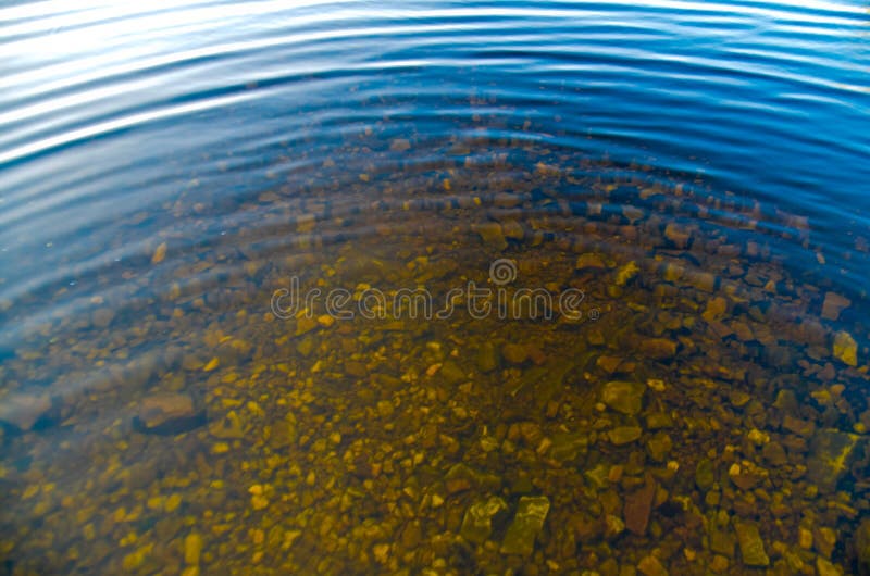 Vatten Stenar Botten Av Floden Arkivfoto - Bild av flytande, kust: 99591666