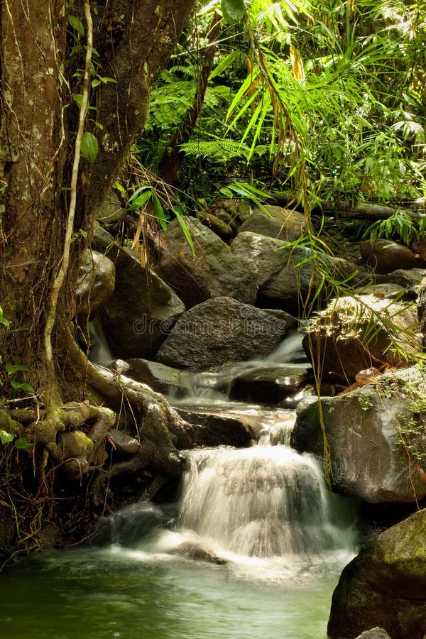 Vattenfall I Regnskogslandskapet Arkivfoto - Bild av vild, liggande ...