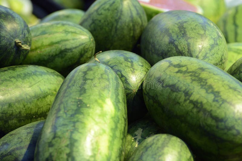 Vattenmelon fotografering för bildbyråer. Bild av utsäde - 84331757
