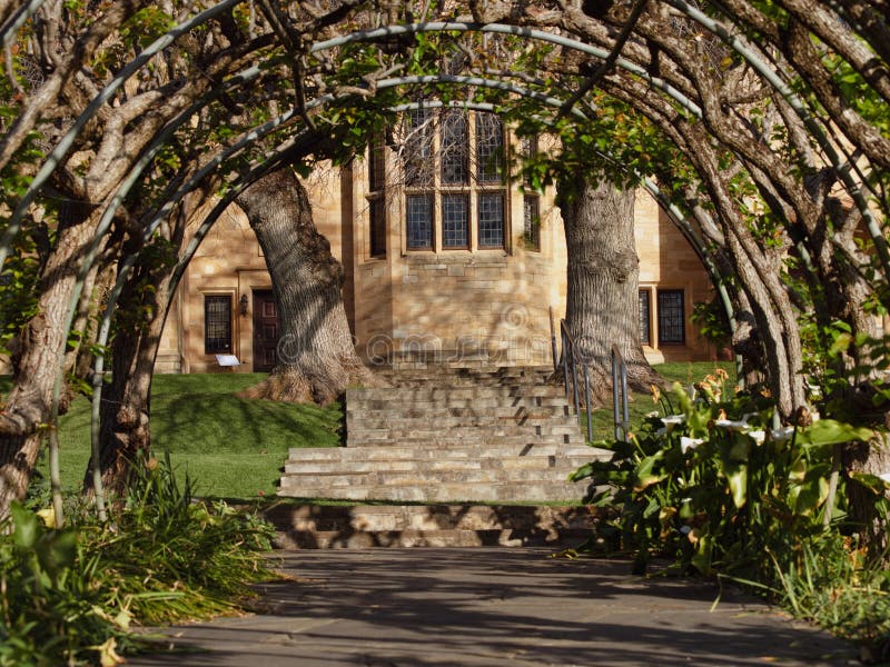 Vaulted Plants Pathway and Vertical Window on the Vintage Building ...