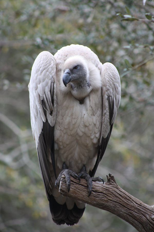 Michele Loftus (Micspix) - Photographer profile