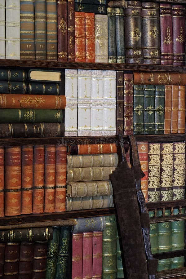 Vecchi Libri Classici Sullo Scaffale Per Libri Fotografia Stock ...