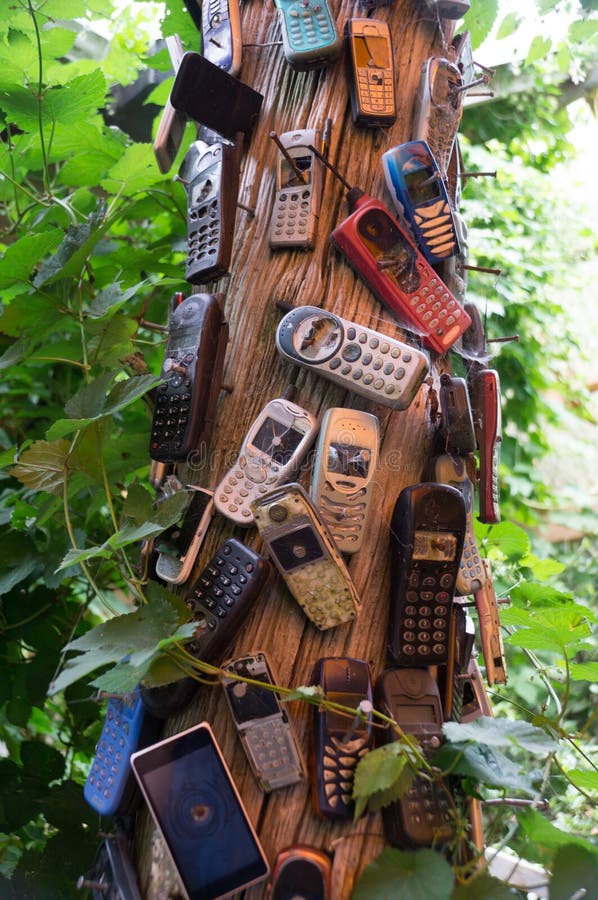 Vecchi Telefoni Cellulari Rotti Inchiodati All'albero Fotografia Stock ...