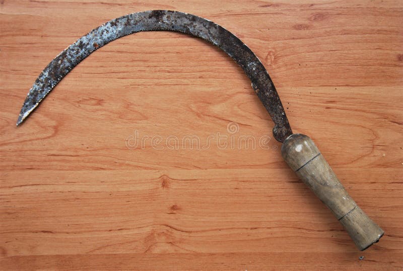 Frumento con la falce fotografia stock. Immagine di paglia - 15842328