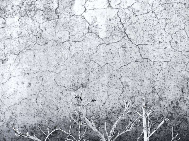Vecchia Parete Del Cemento Deteriorata Fotografia Stock - Immagine di ...