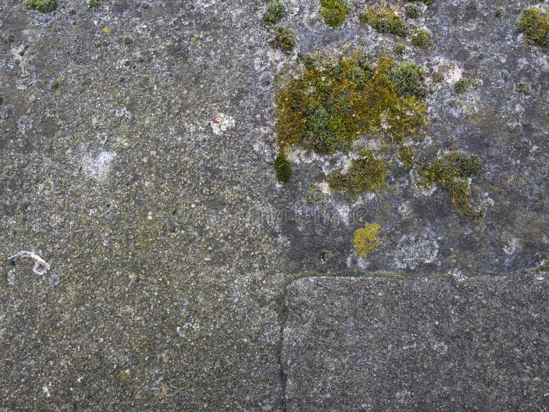 Vecchia Parete Di Pietra Con La Muffa Verde a Parigi Immagine Stock ...